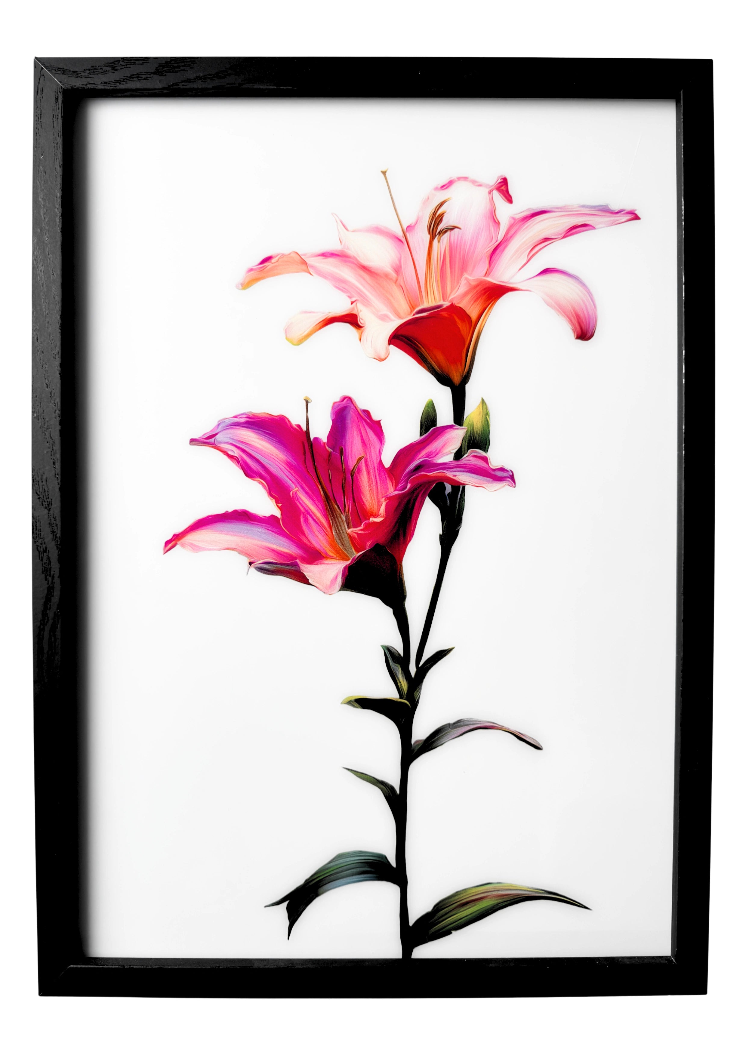Pink Lily LED Light Wall Art | Botanical Decor – Lumière Classique Frames